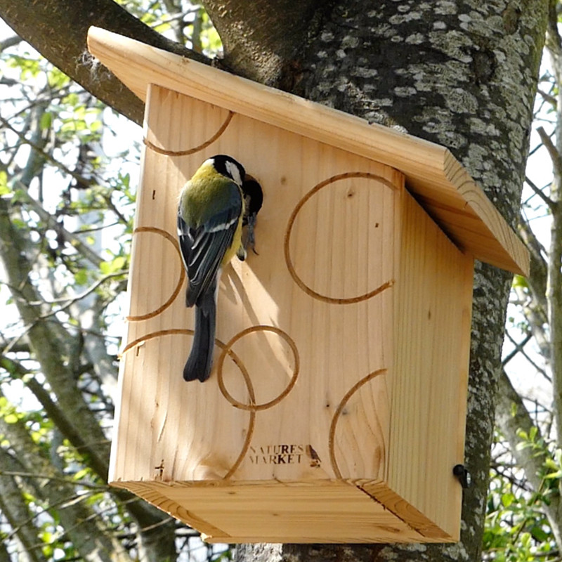 Nichoir oiseaux, une cabane et maison pour oiseaux mésanges et autres